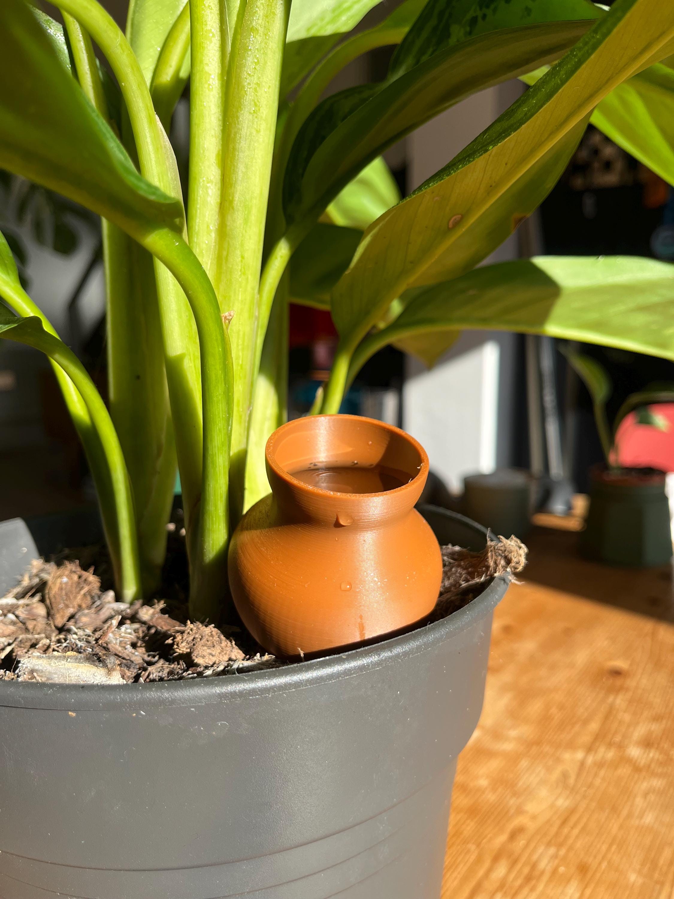 Self Watering Vessel - Pack of X3 - 3D Printed Irrigation Spikes ...