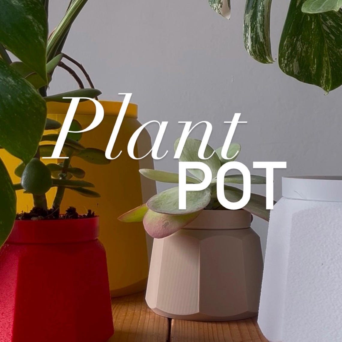MOKA PLANT POT - 3D Printed Plant Pot - Etsy