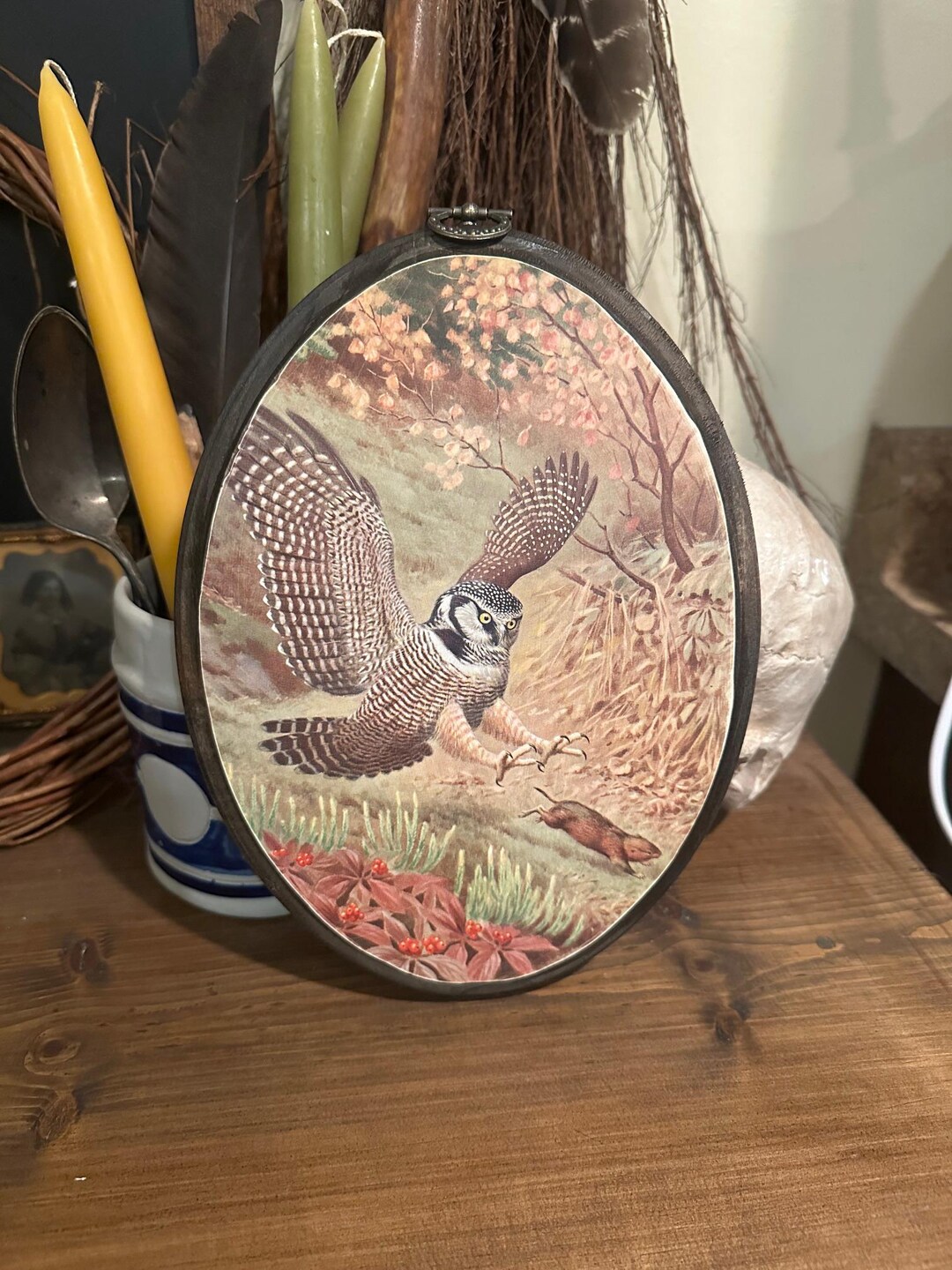 Wood Wall Hanging - Hawk Owl & Mouse - National Geographic Book Art - Etsy