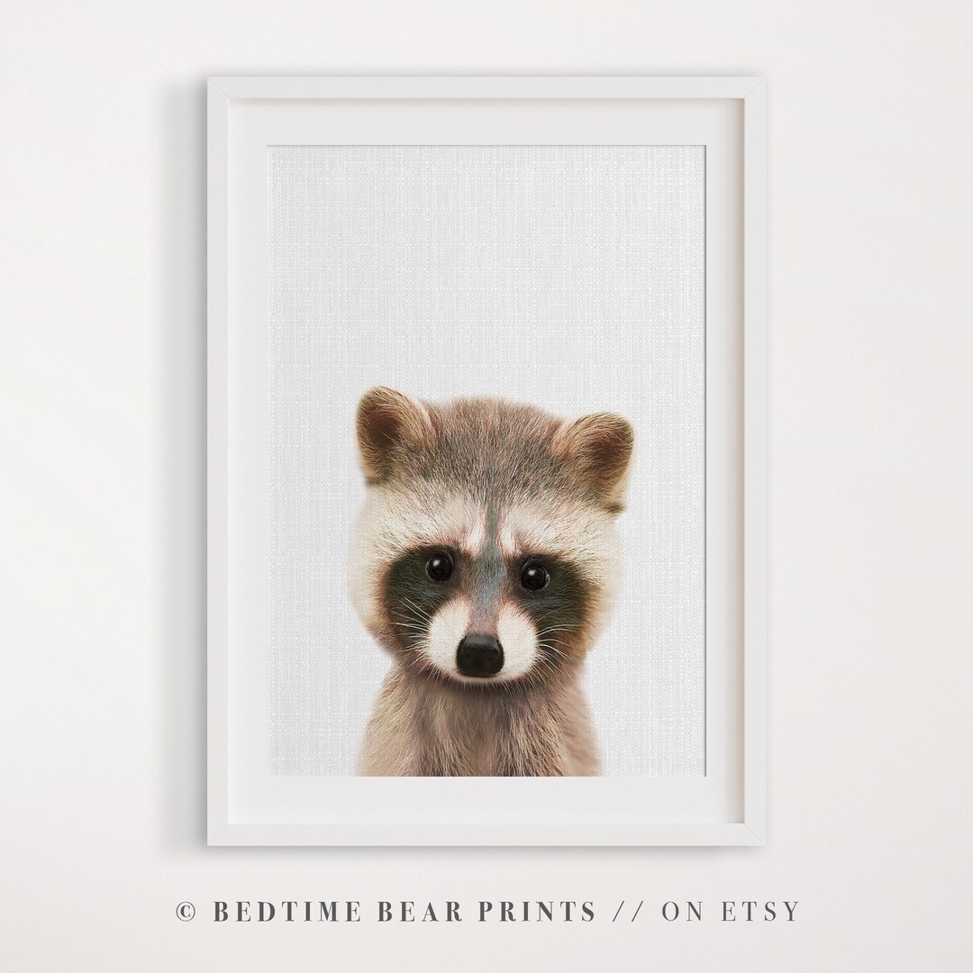 Raccoon Prints, Nursery Raccoon Wall Art, Raccoon Printable, Baby Room ...