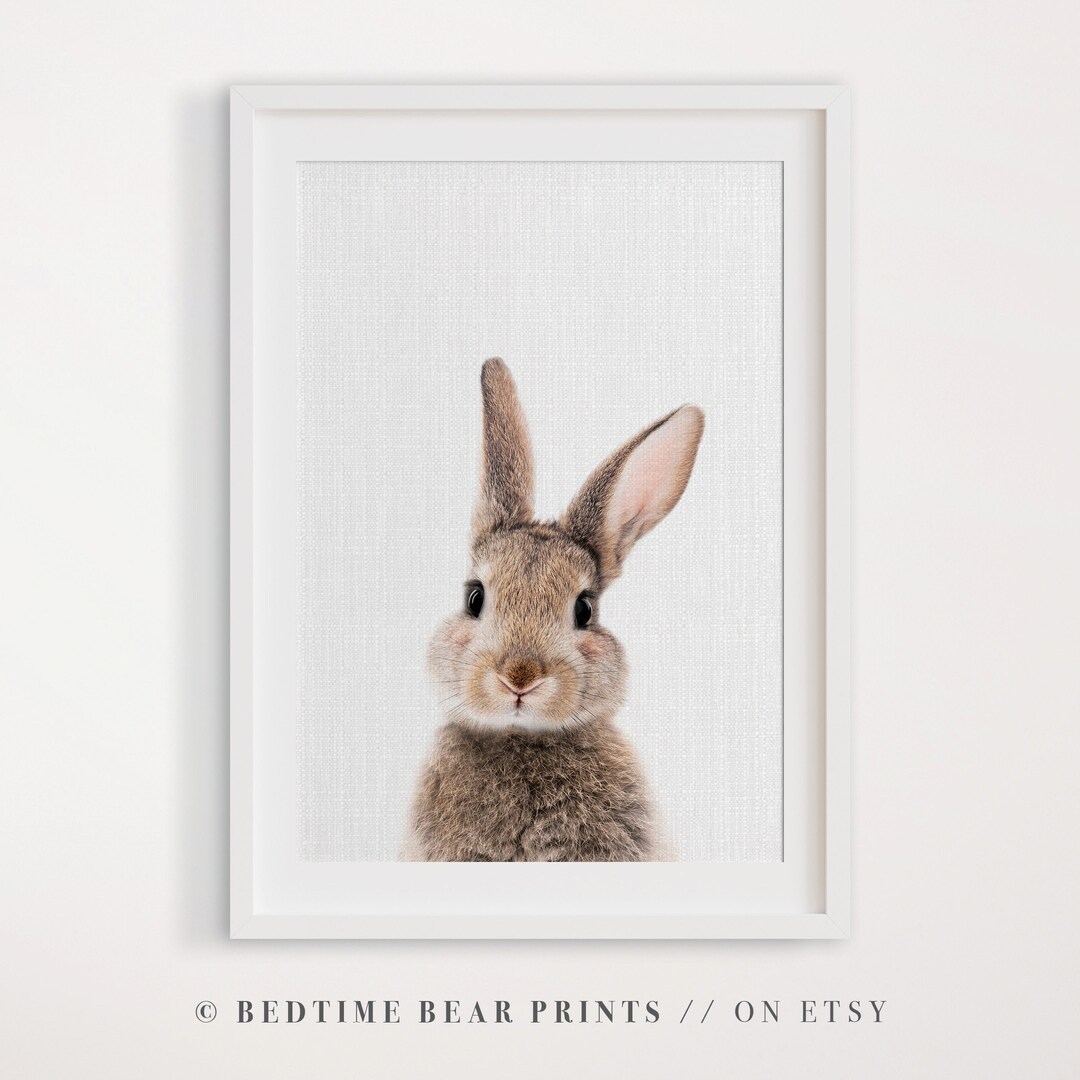 Bunny Rabbit Prints, Bunny Rabbit Wall Art, Bunny Printable, Baby Room ...