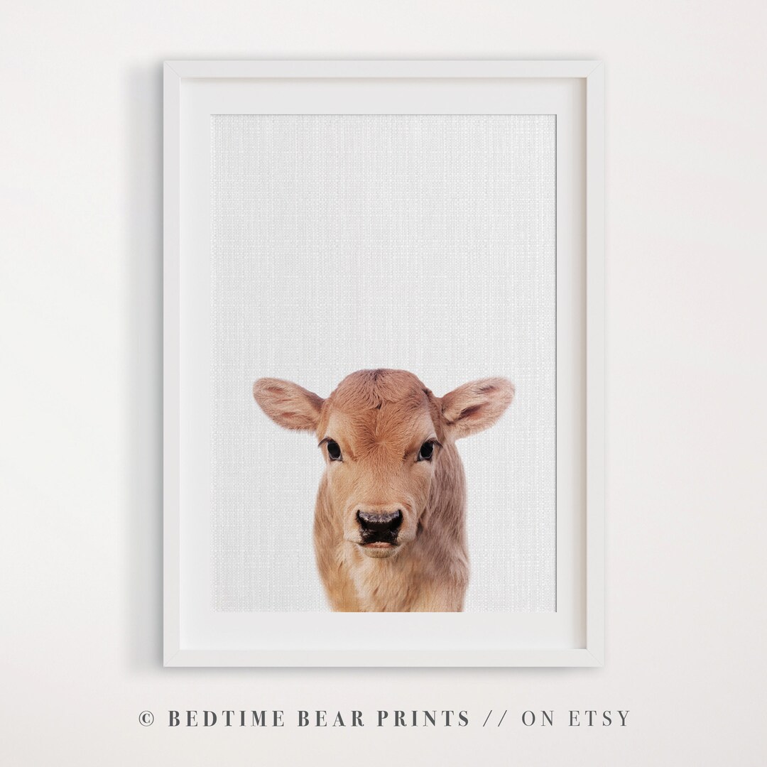 Nursery Prints, Calf Wall Art, Baby Cow Printable, Baby Room Decor ...