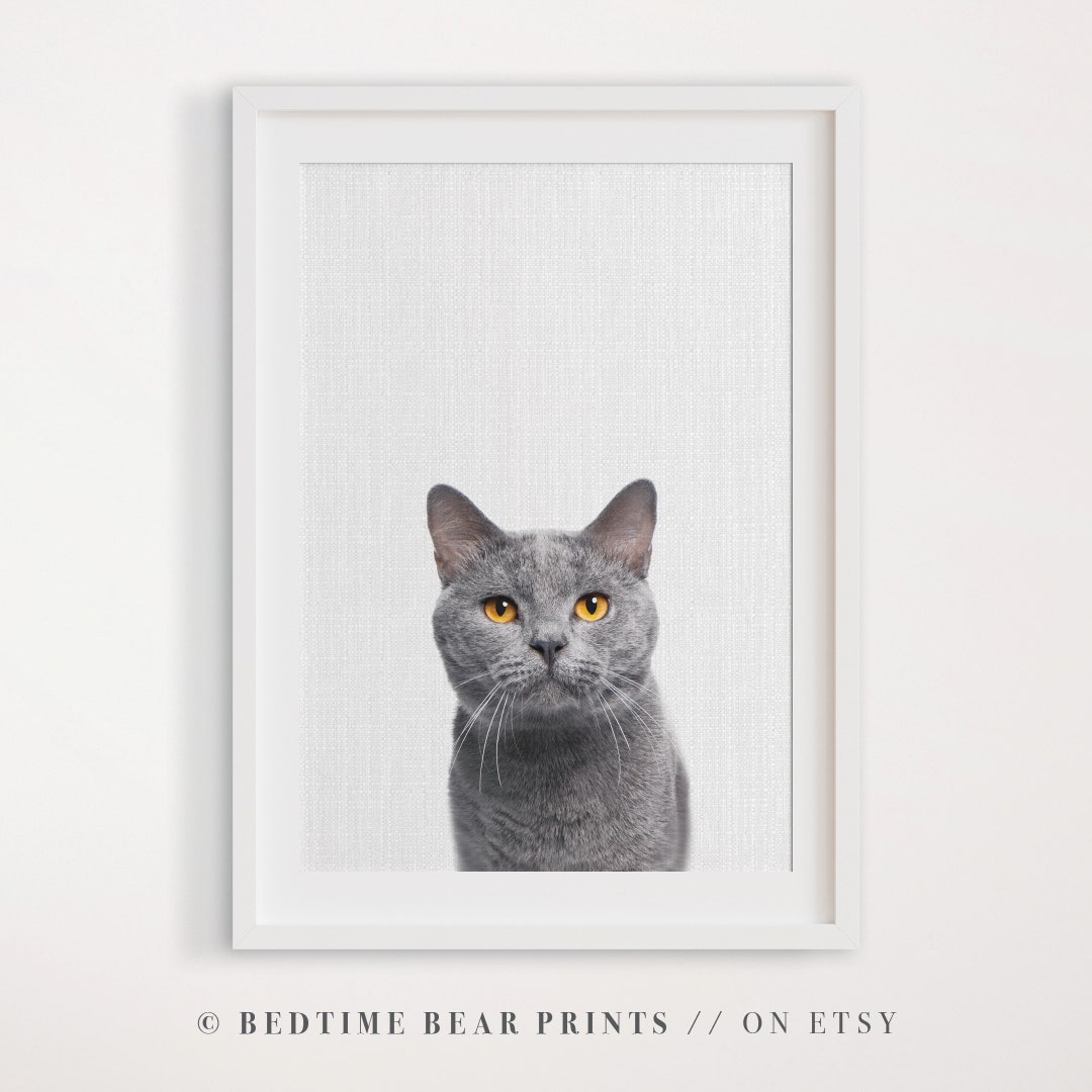 Nursery Animal Print Nursery Cat Print Baby Animal Print Baby Cat ...