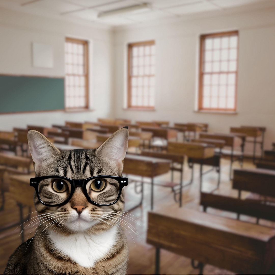Teacher Cat - Etsy