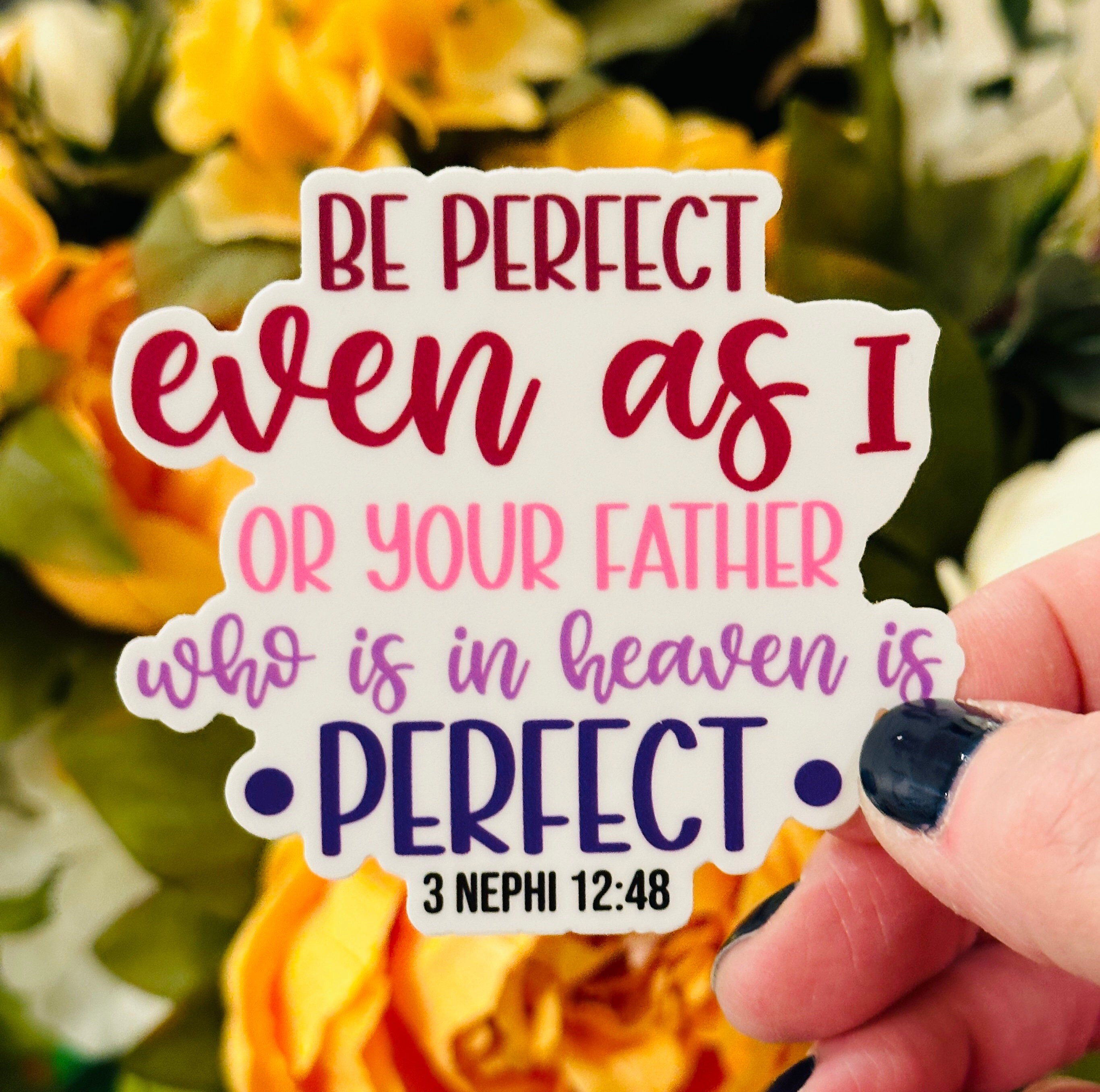 LDS 19 Book of Mormon Seminary Doctrinal Mastery ONE STICKER Scripture ...