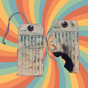 Personalized-mortician's-double-id Toe Tags in Display Frame, Oddity ...