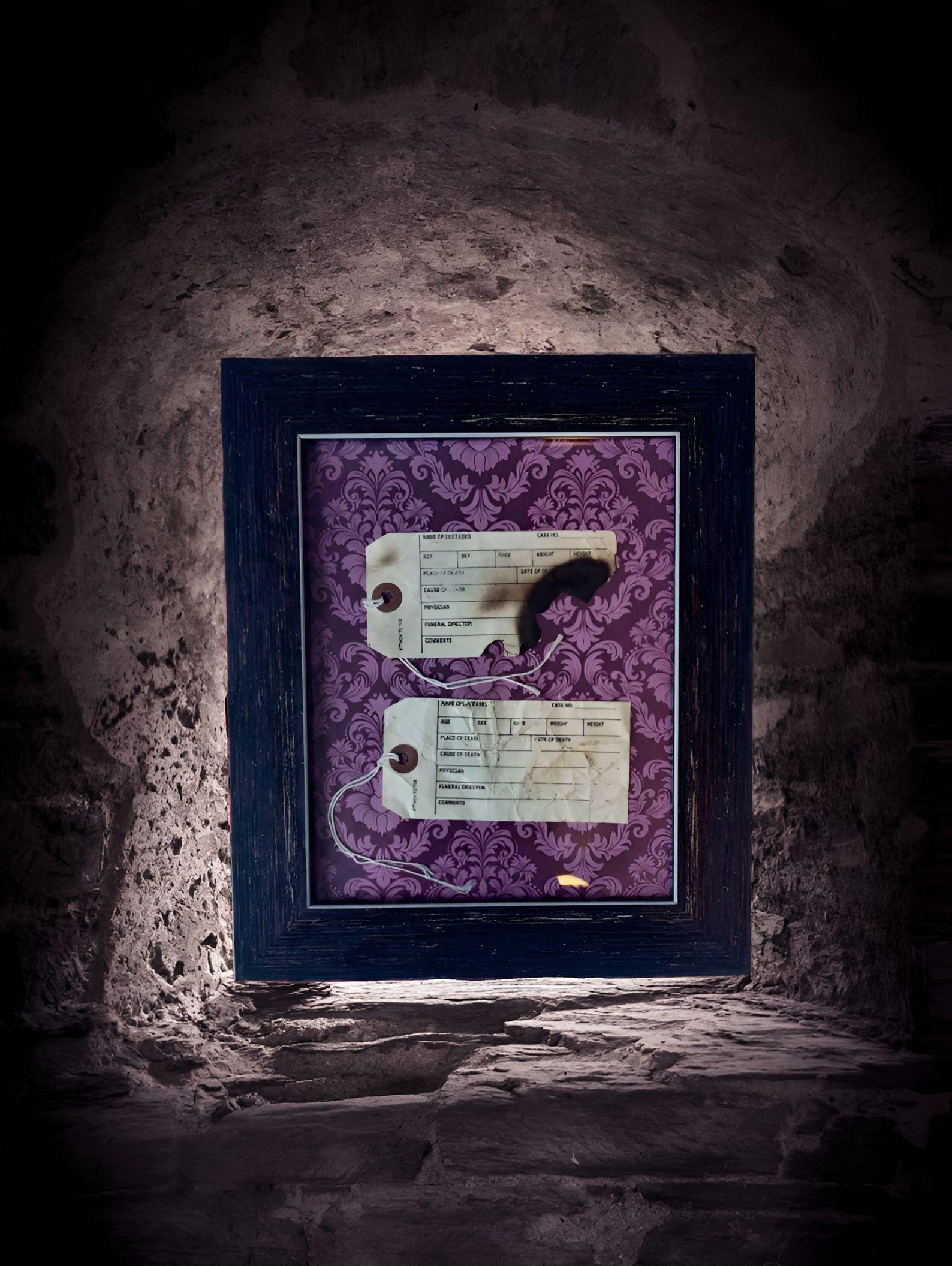 Personalized-mortician's-double-id Toe Tags in Display Frame, Oddity ...