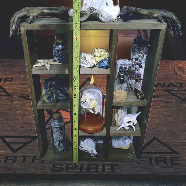 Curiosity Cabinet - Etsy