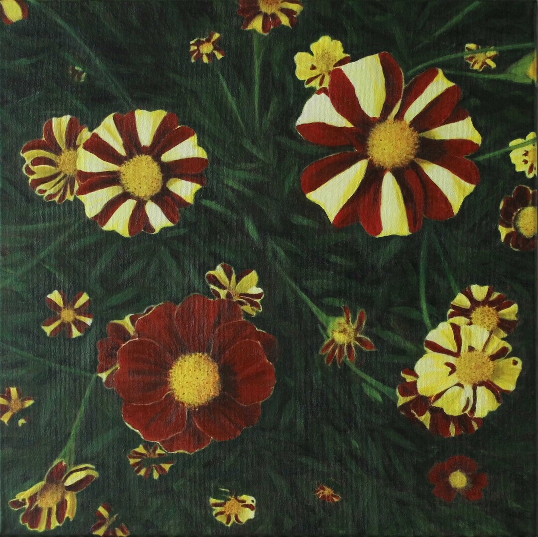 Pinwheel Marigold Flowers - Etsy