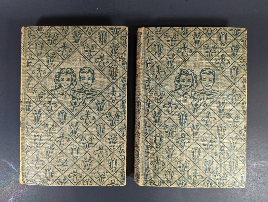 The Bobbsey Twins Series by Laura Lee Hope 2-book Bundle 1930-40s ...