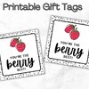 You're the Berry Best Strawberry Gift Tag Mother's Day Berry Basket ...