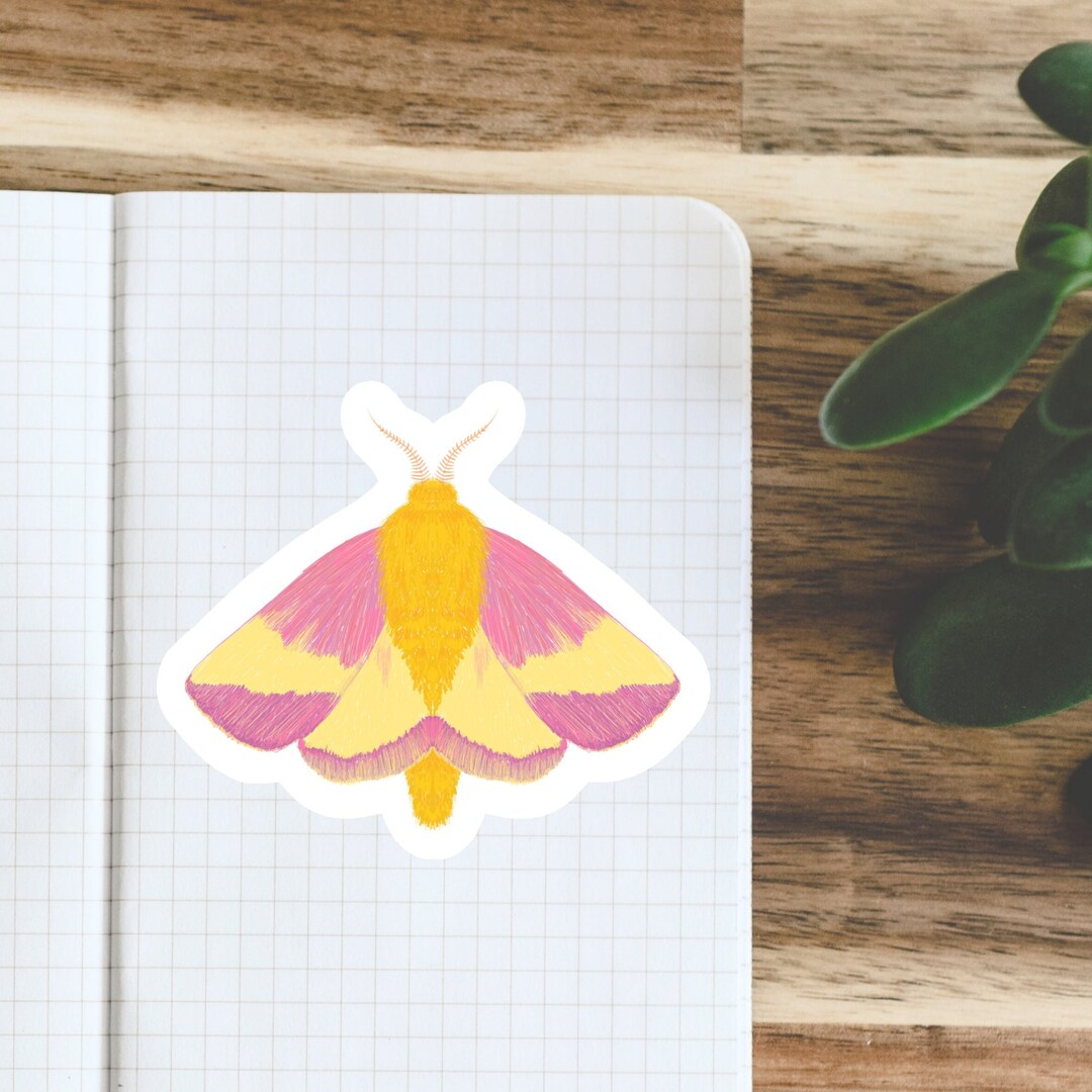 Rosy Maple Moth Sticker - Etsy