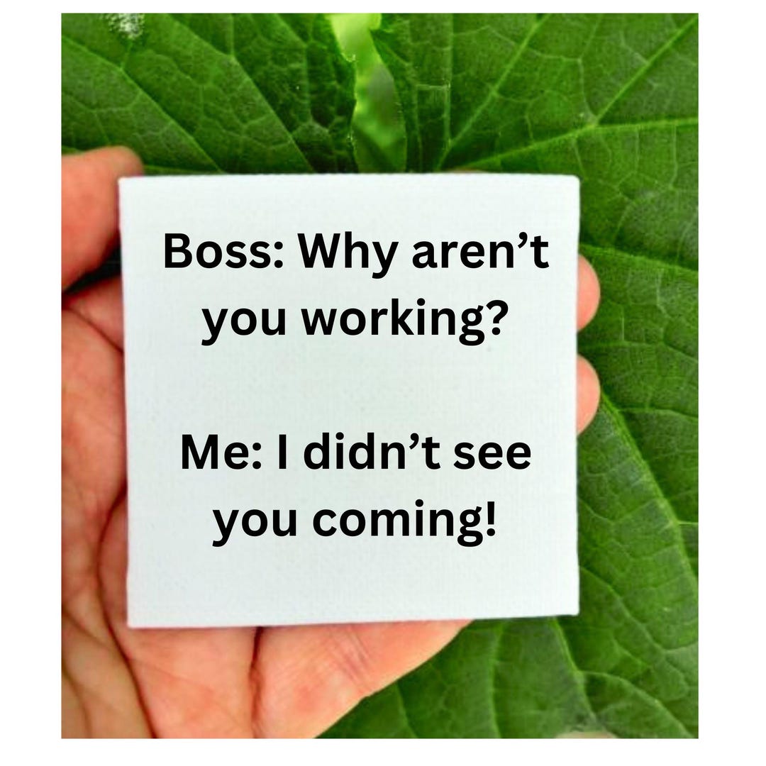 Funny Fridge Humor Magnet, Refrigerator Magnet, Fun Gifts, Co-worker ...