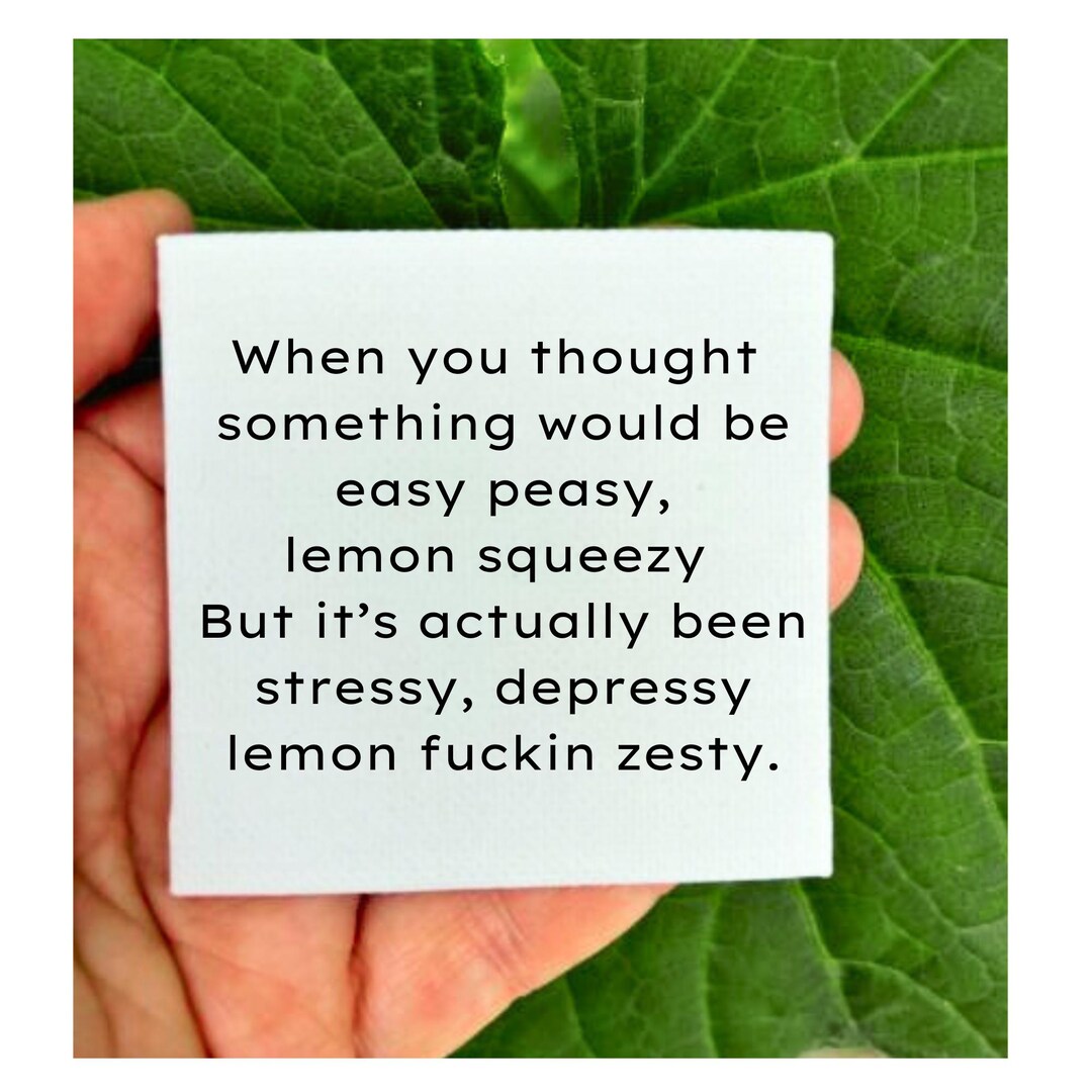 Easy Peasy Lemon Squeezy Joke Fridge Magnet - Etsy