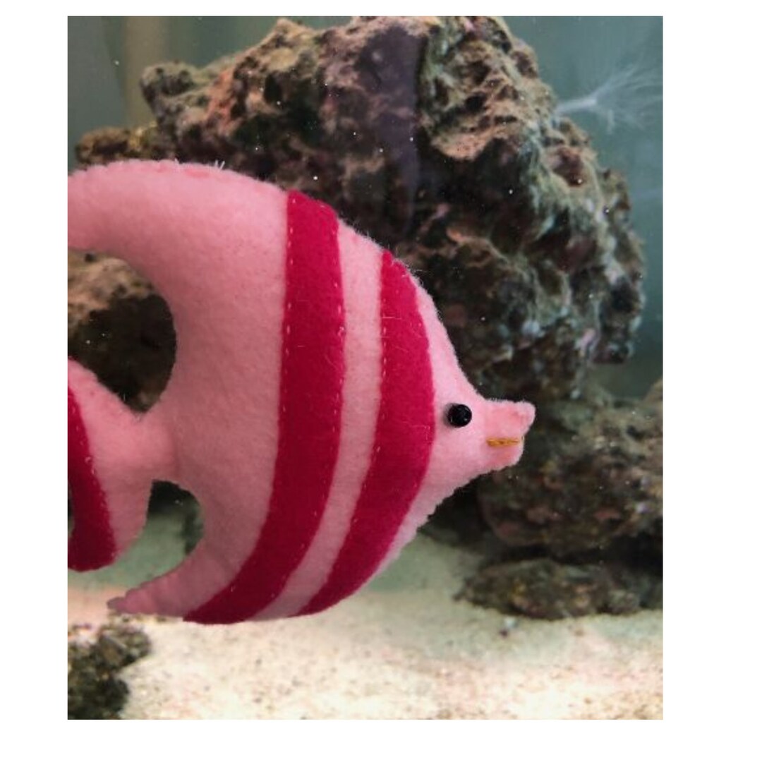 Felt Fish, Marine Life, Aquarium Decor, Felt Animals, Felted, Children ...