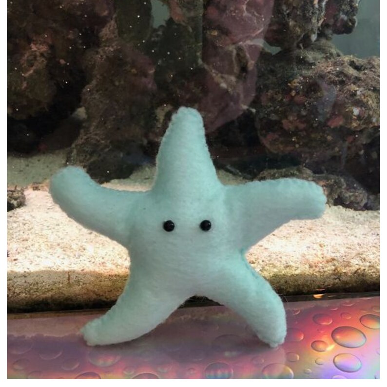 Starfish, Under the Sea, Felt Animals, Felt Starfish, Montessori Toys ...