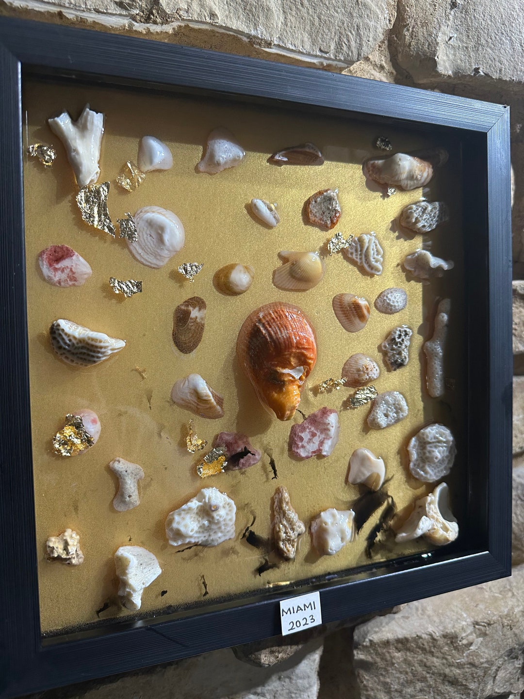 Miami Beach Seashells - Etsy