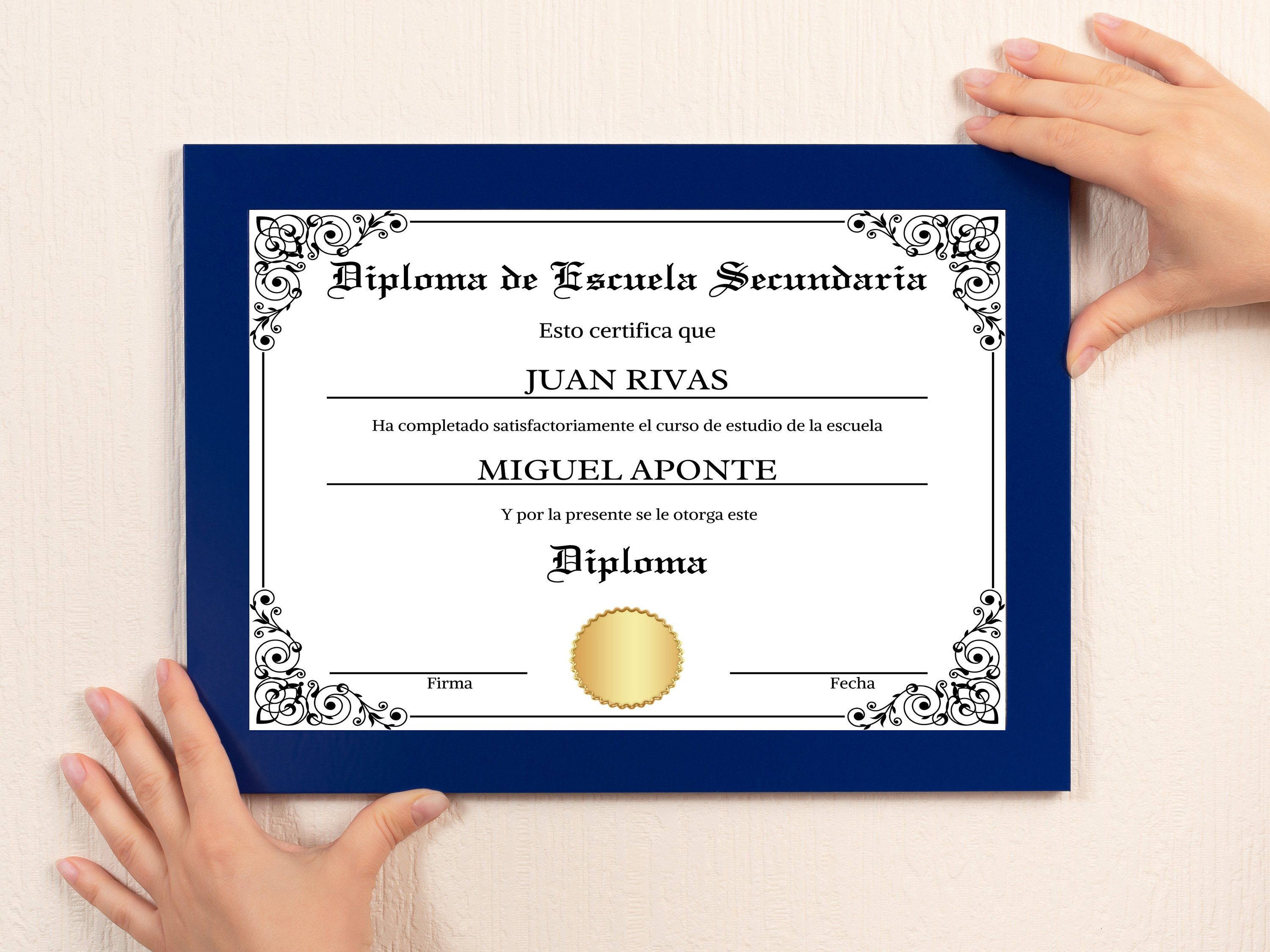 Plantilla De Diploma De Escuela Secundaria Falso