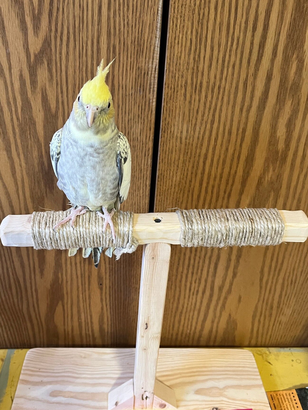 Tabletop Parrot Perch Training Perch Wooden Bird Perches No Assembly