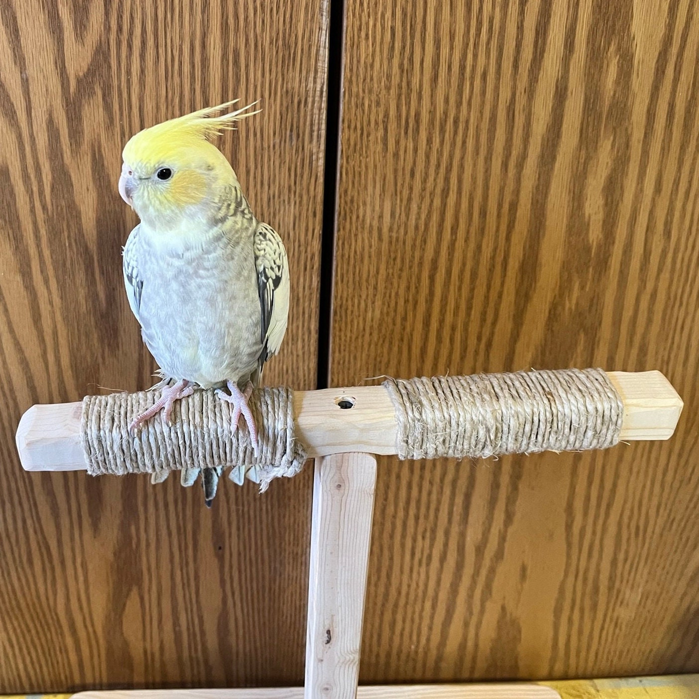 Tabletop Parrot Perch Training Perch Wooden Bird Perches No Assembly