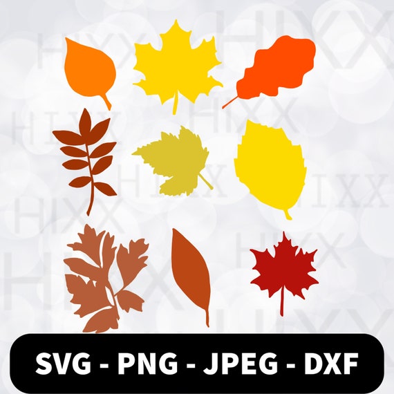 Fall Leaves SVG Fall Svg Fall Leaf Png Dxf Jpeg - Etsy