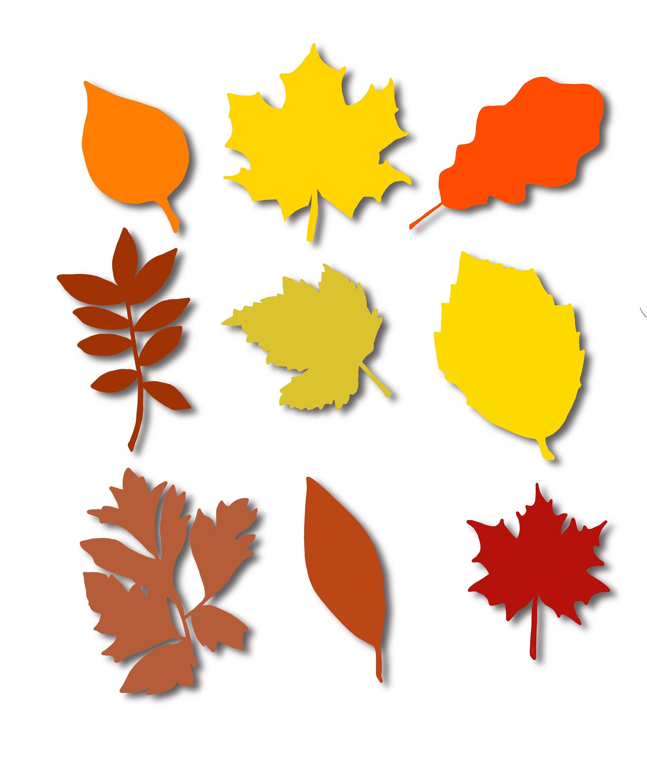 Fall Leaves SVG, Fall Svg, Fall Leaf Png, Dxf, Jpeg - Etsy