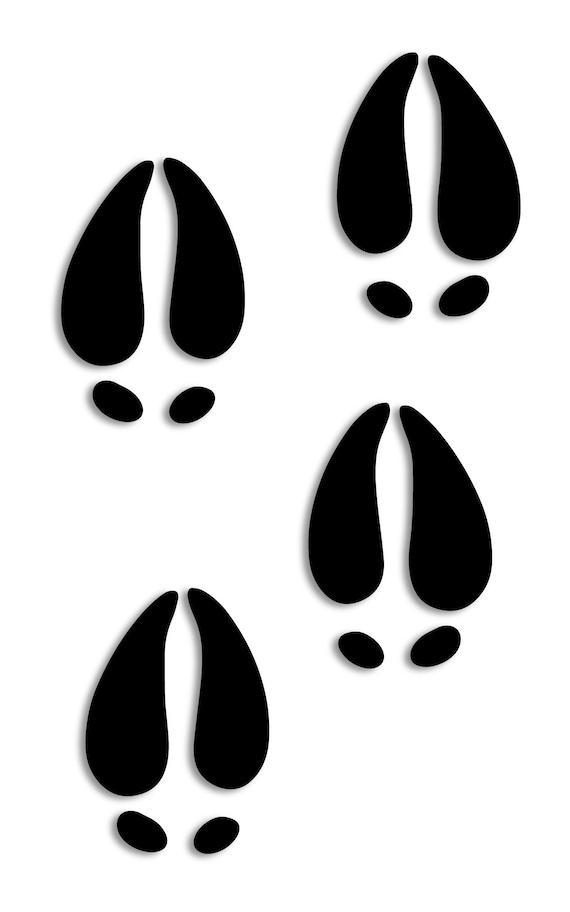 Deer Track Stencil