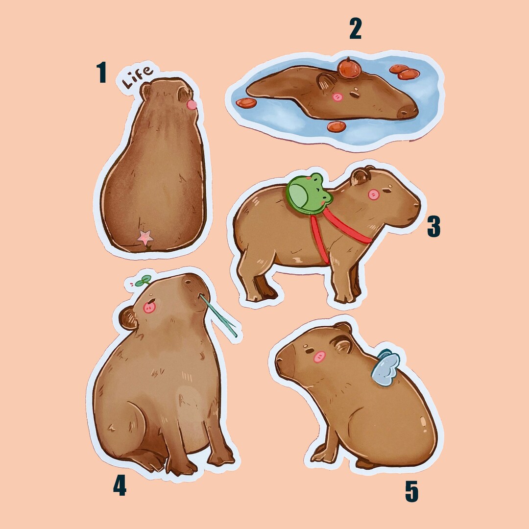 Capybara Stickers Cute Capybara Sticker Pack Capybara Kawaii - Etsy