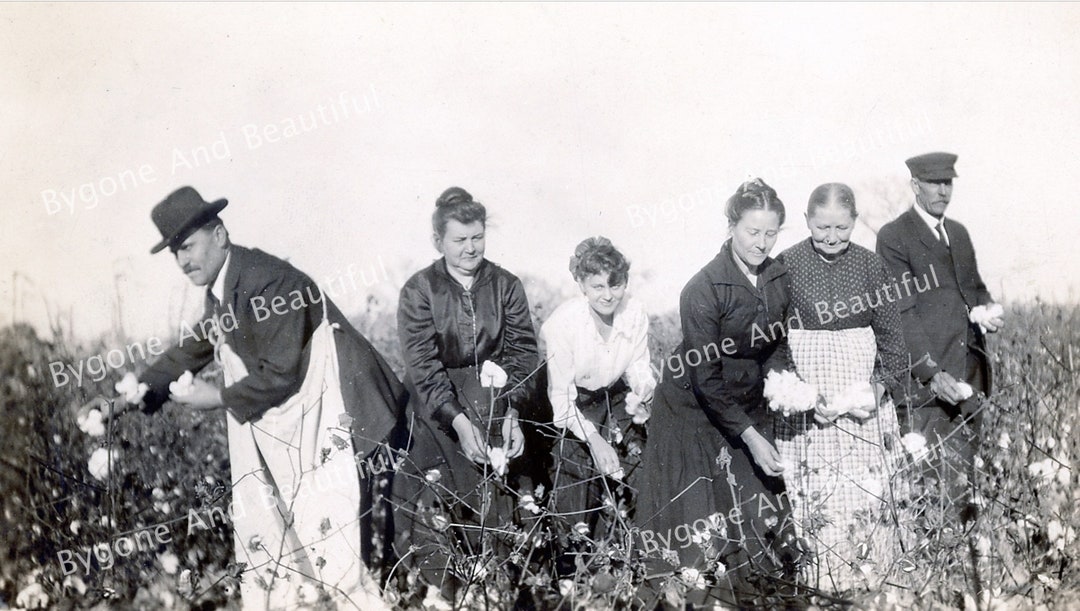 Vintage Image Picking Cotton Junk Journal Scrapbook Digital Download - Etsy