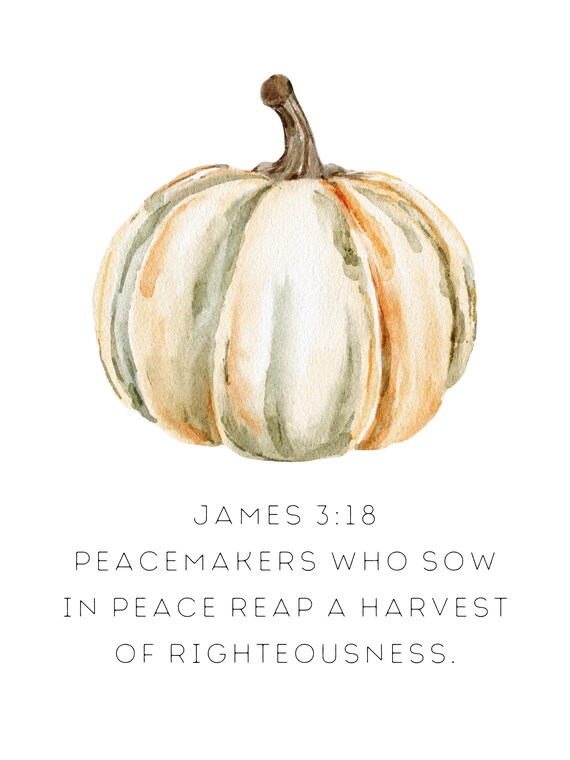 The Harvest Is White In The Bible