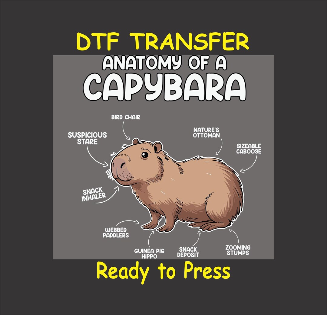 Capybara DTF Transfer Iron on Heat Transfer - Ready to Press Hot Peel ...