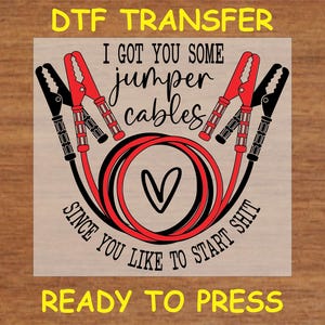 Funny DTF Transfer Iron on Heat Transfer - Ready to Press Hot Peel, I ...