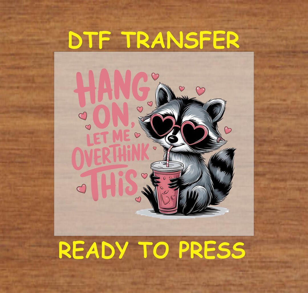 Funny DTF Transfer Iron on Heat Transfer - Ready to Press, Hang On, Let ...