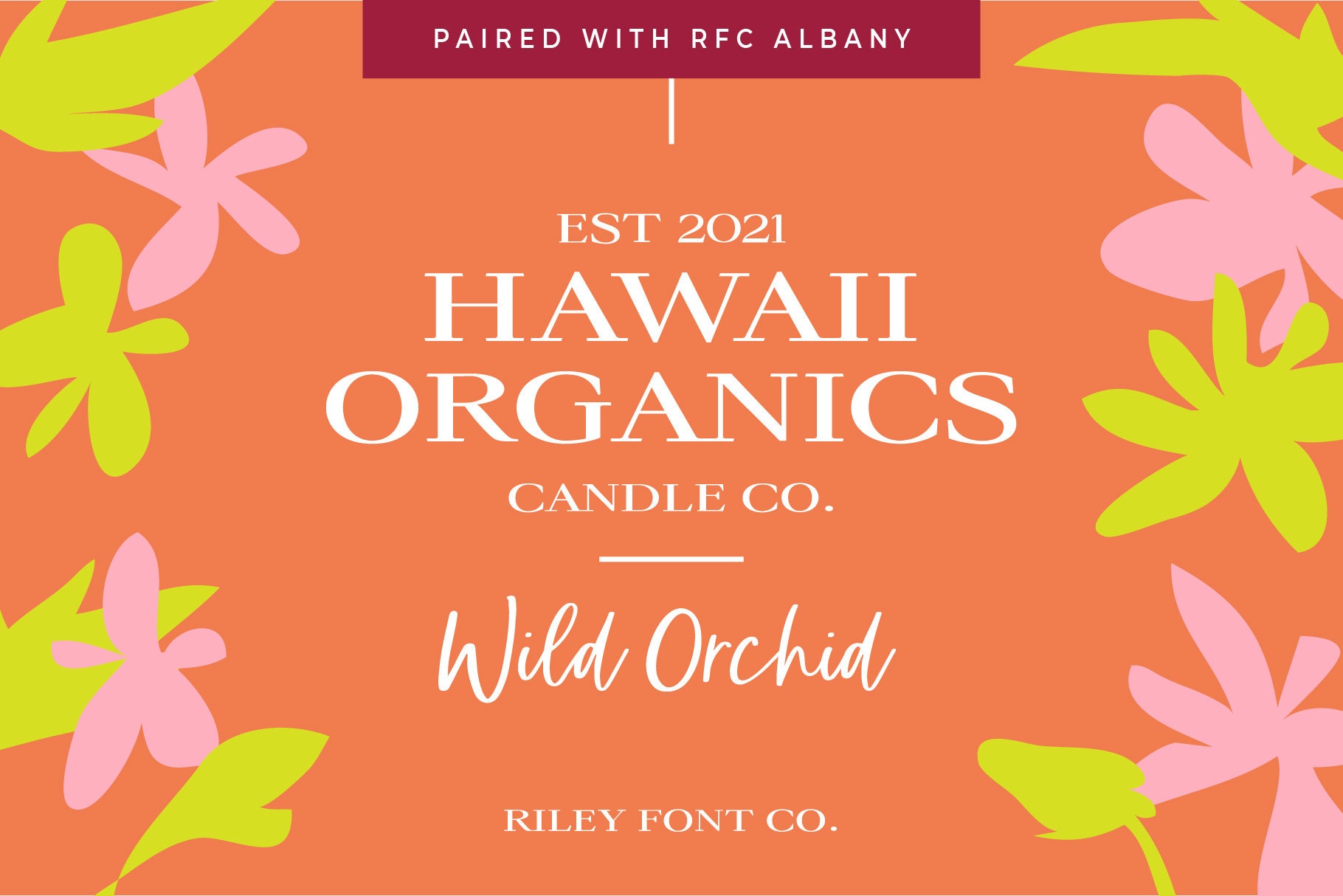 Cairo Font Luxury Serif Font All Caps Font Fashion Font - Etsy