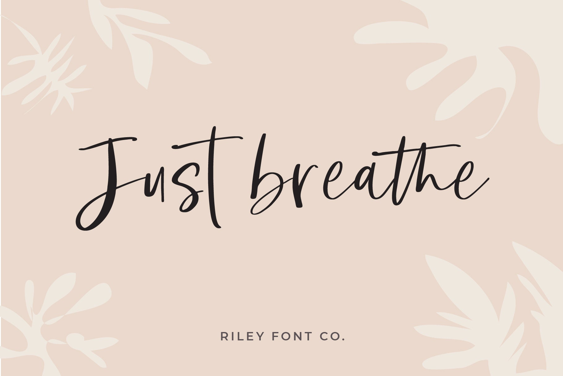 Kaitlyn Font Modern Bouncy Script, Boho Wedding Font, Chic Font ...