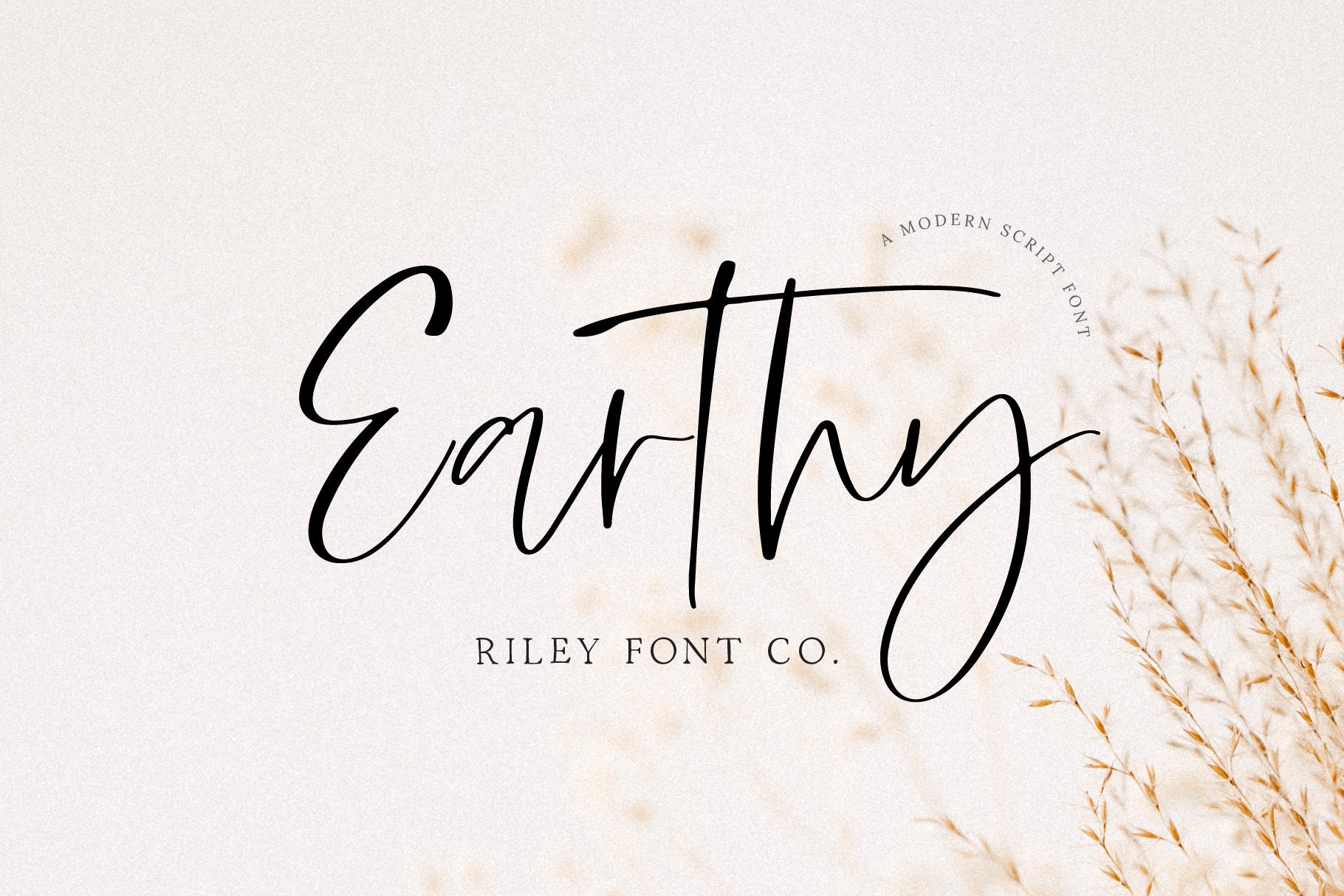 Earthy Font Modern Handwritten Script, Boho Wedding Font, Chic Font ...