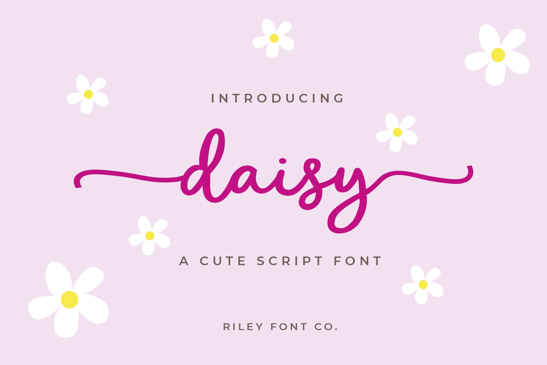 Daisy Font Cute Cricut Font, Tails, Monoline, Craft Font, Script Font ...