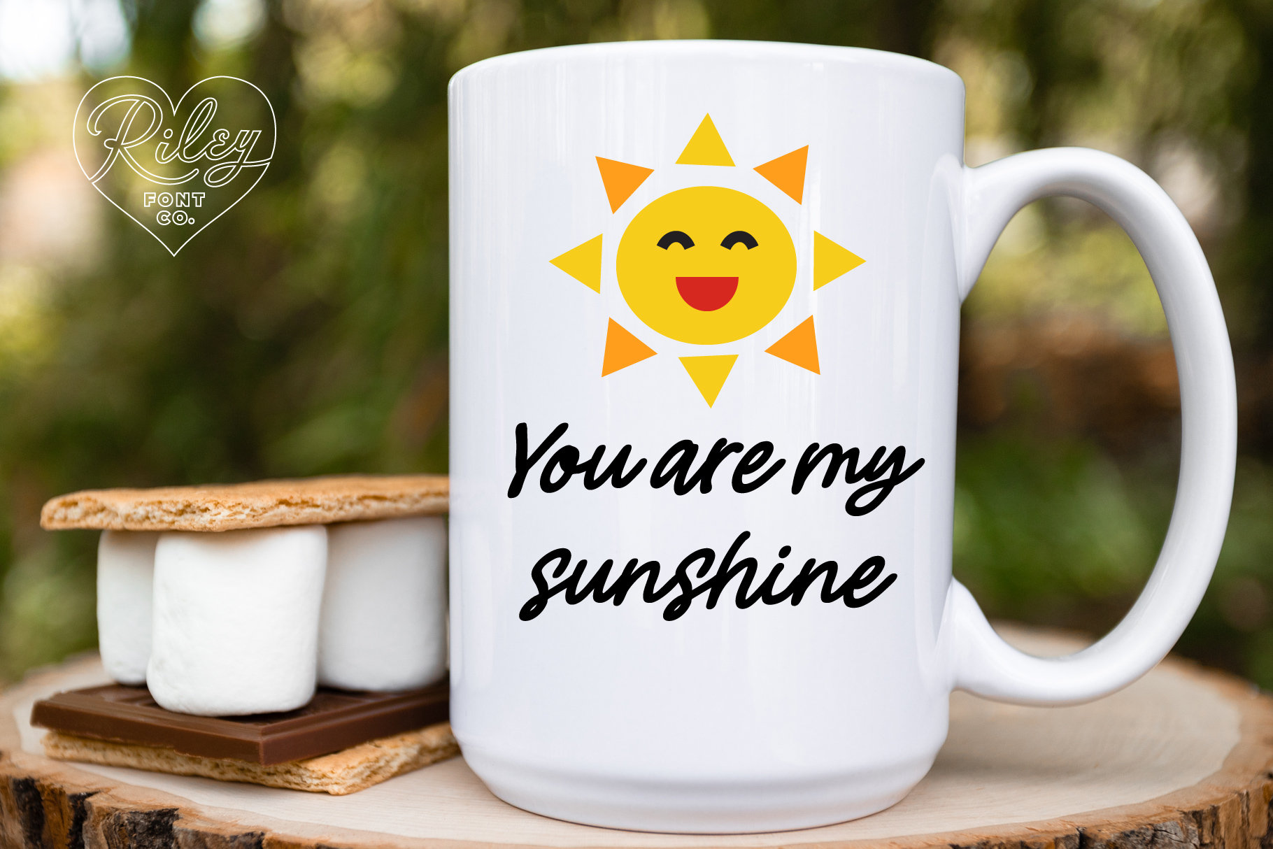 Bailey Font Bold Script Font, Cricut Font, Thick Cursive Font, Cute ...