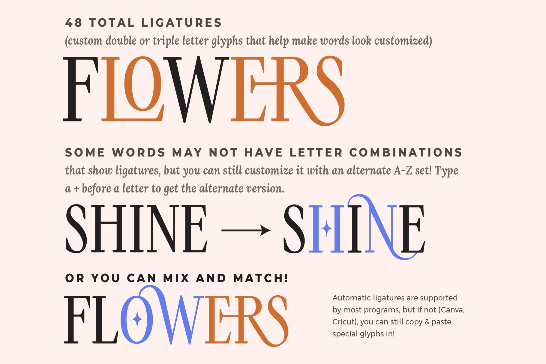 Orange Coast Font Ligature Font Branding Font Elegant - Etsy