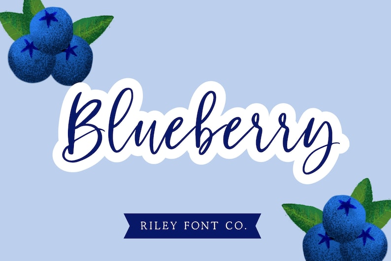 Blueberry Font - Bouncy Modern Calligraphy Script, Procreate Font ...