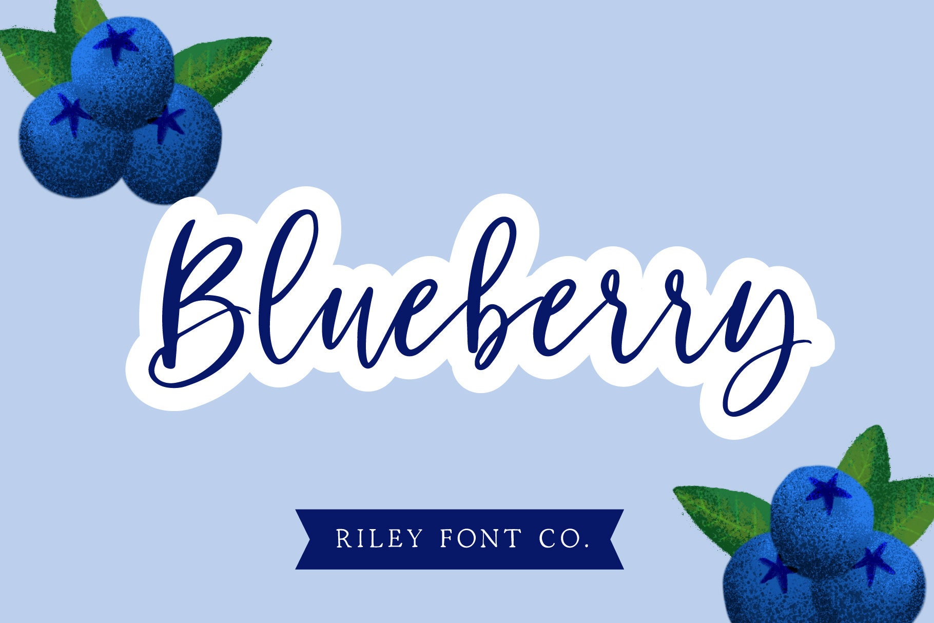 Blueberry Font Bouncy Modern Calligraphy Script Procreate - Etsy