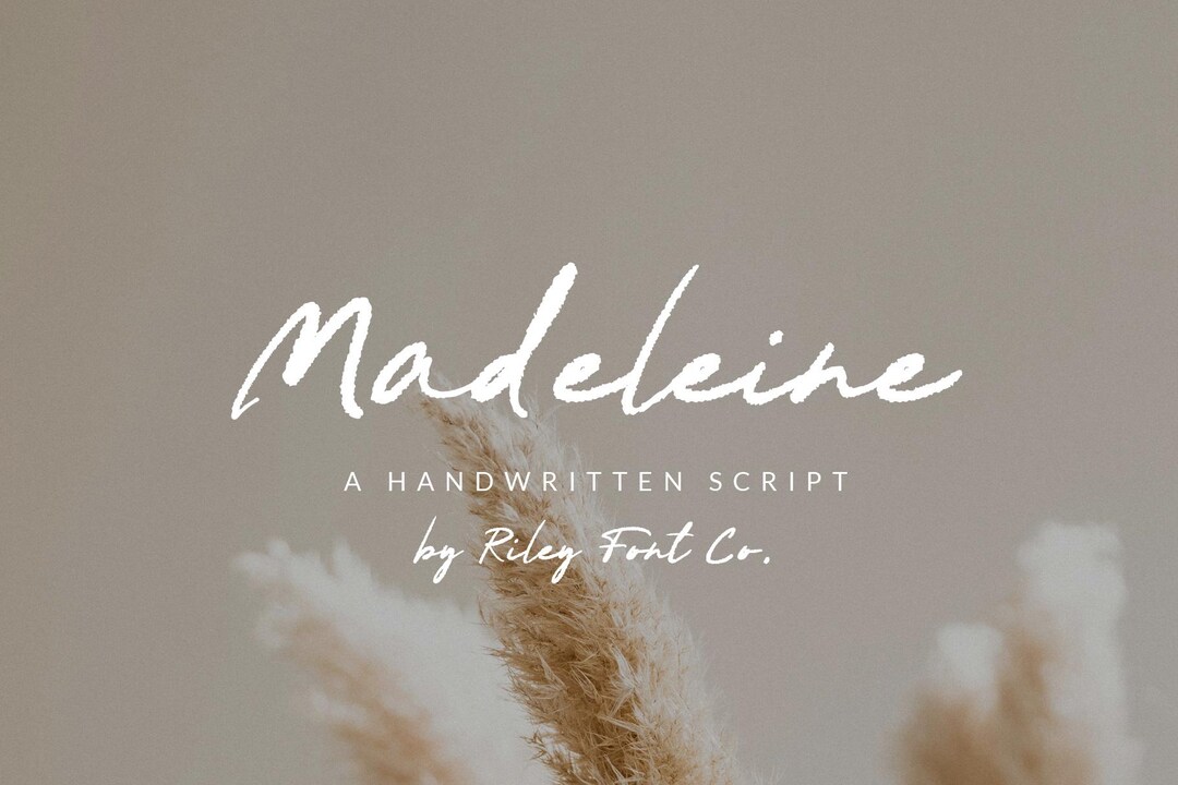 Madeleine Font - Inky Handwritten Script, Boho Wedding Font, Chic Font ...