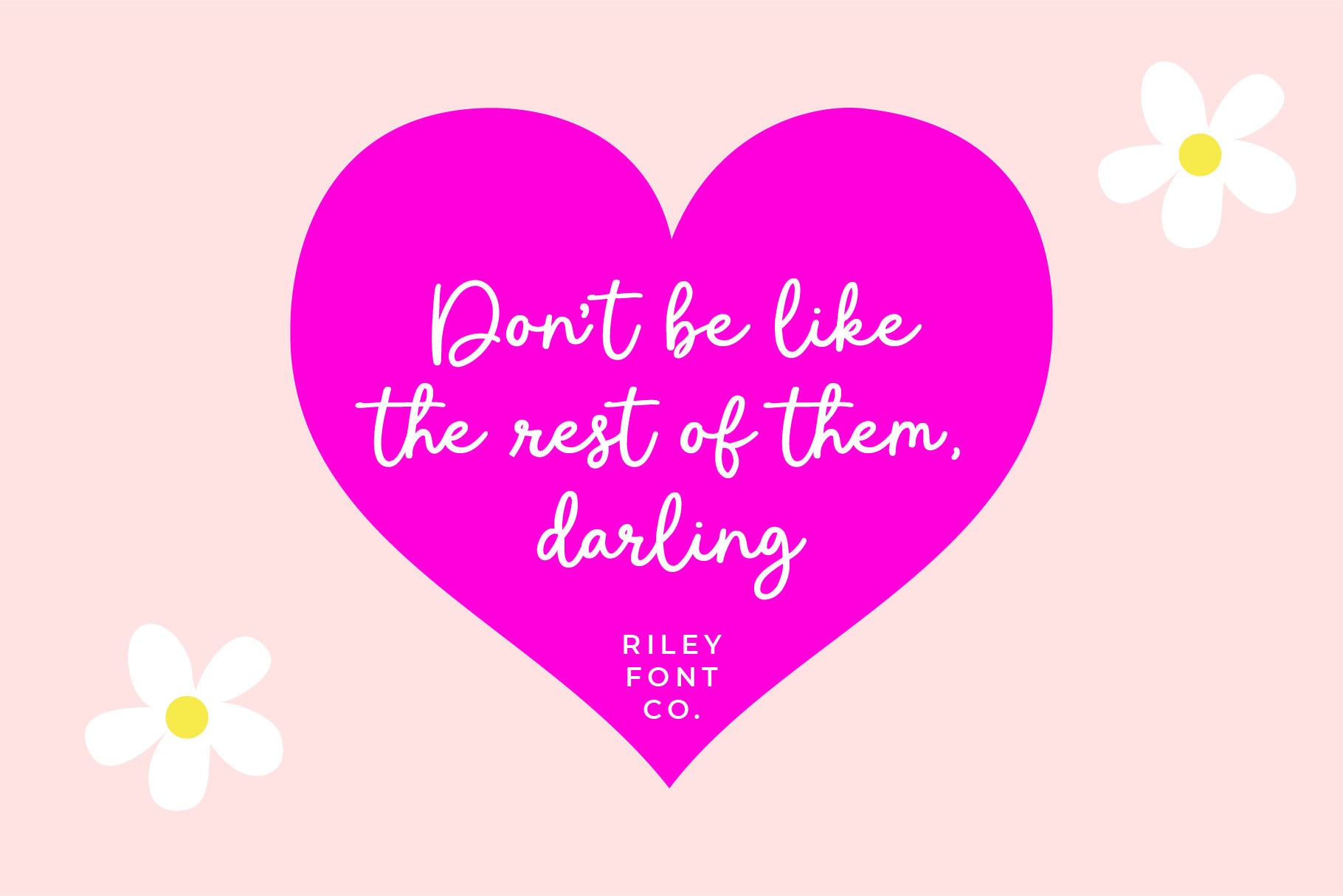 Daisy Font Cute Cricut Font, Tails, Monoline, Craft Font, Script Font ...