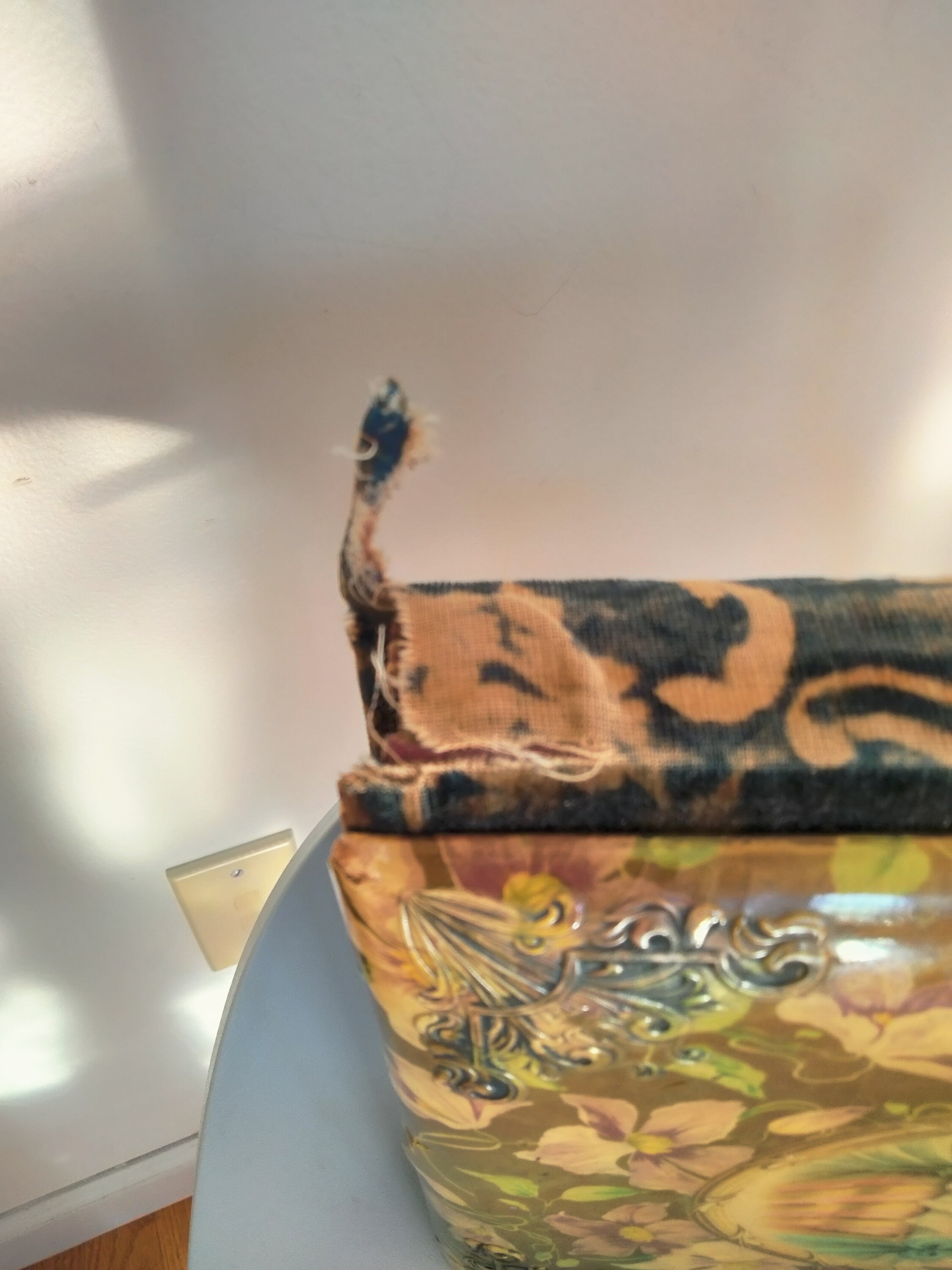 Antique Colonial Woman Celluloid Photo Album - Etsy