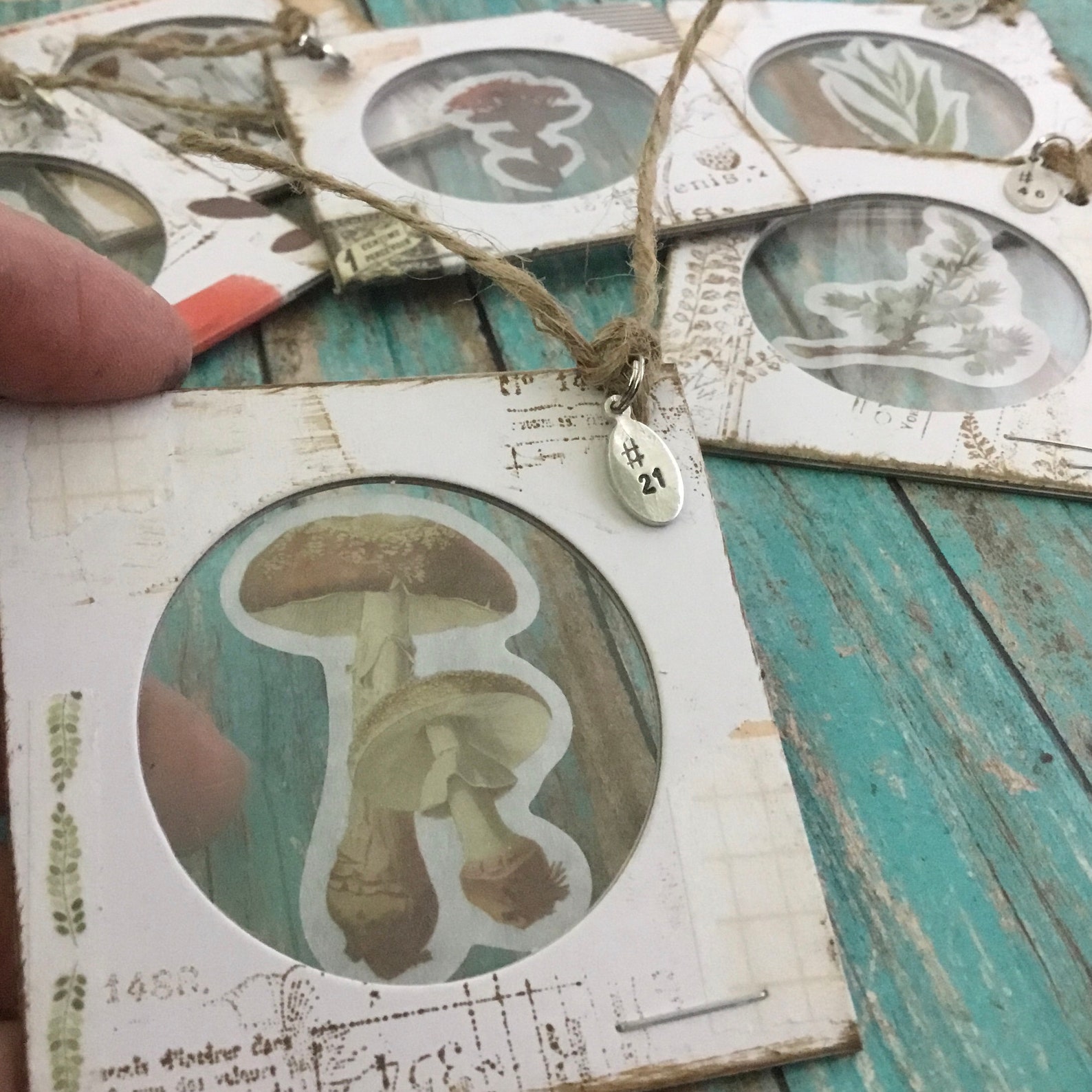 Botanical Floral and Mushroom Specimen Slides for Junk Journal - Etsy