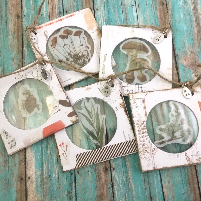 Botanical Floral and Mushroom Specimen Slides for Junk Journal - Etsy