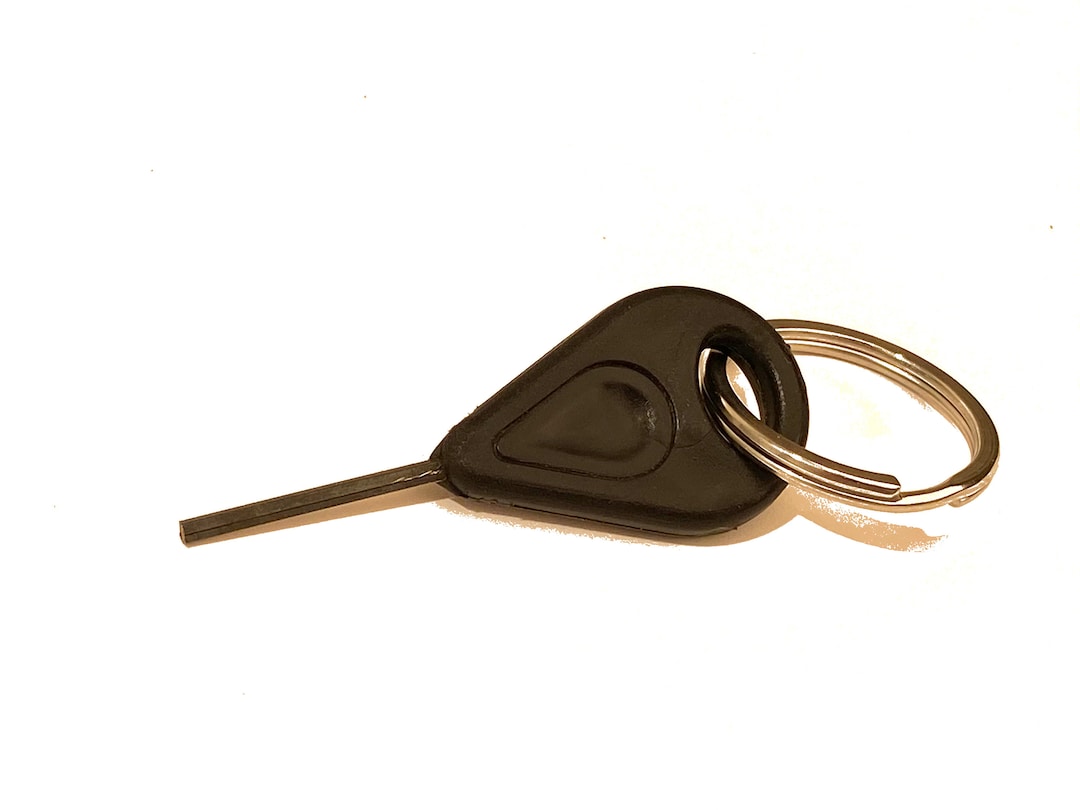 Master Key With Keychain for 6mm & 8mm Collars, Cuffs, Bracelets, and ...