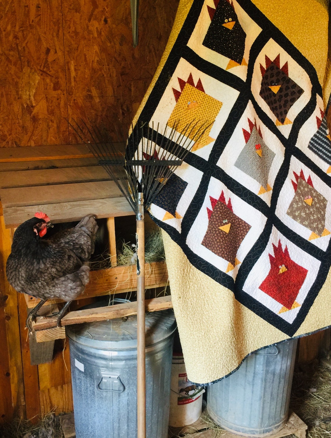 Happy Hens Quilt Pattern - Etsy
