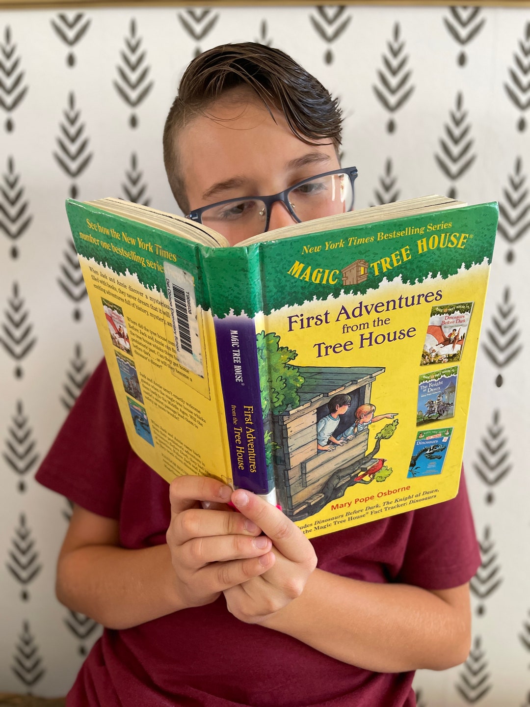 Magic Tree House-first Adventures From the Treehouse 3 Books in ...