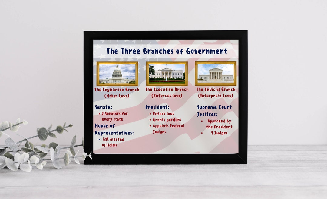 Three Branches of Government Digital Poster - Etsy